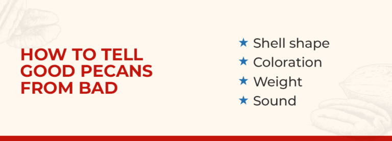 Do Pecans Go Bad? How to Tell Good Pecans From Bad Pecans