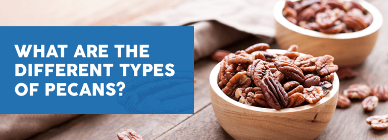 What Are The Different Types of Pecan Varieties | Pecan Nation