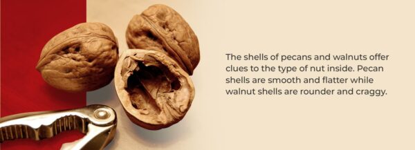 What is The Difference Between Pecans And Walnuts | Pecan Nation