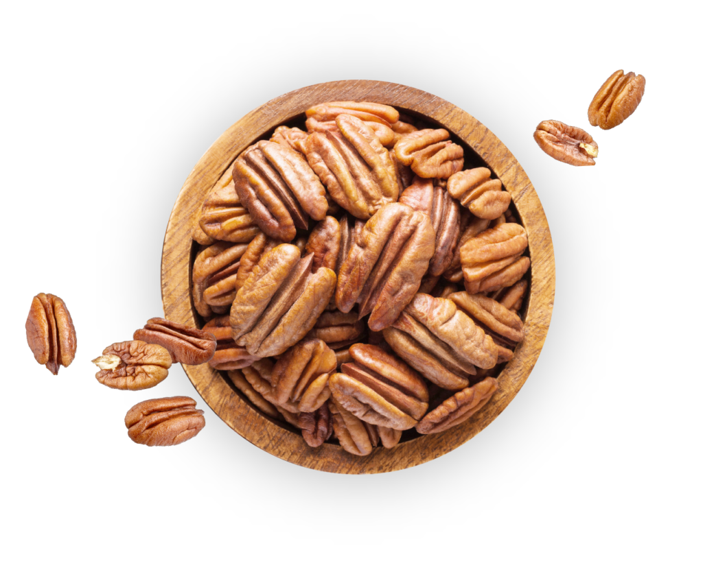Pecan 101: Everything You Need to Know About Pecans