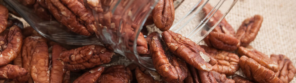 Pecans vs. Walnuts: Key Differences You Should Know
