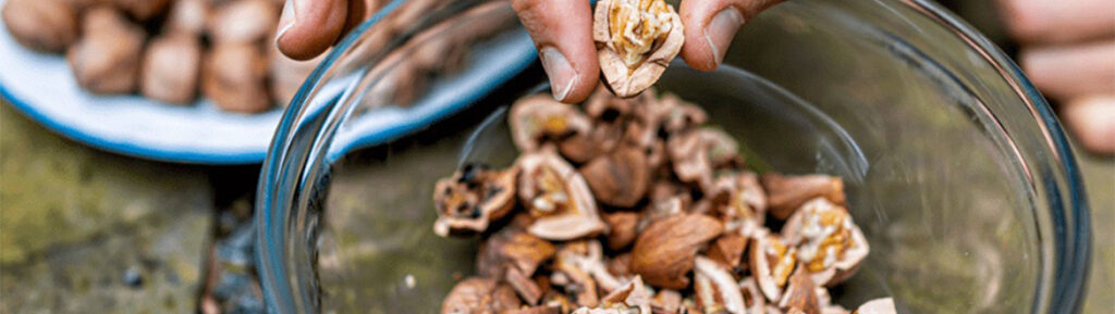 4 Easy Steps to Open & Crack Pecan Shells | Pecan Nation