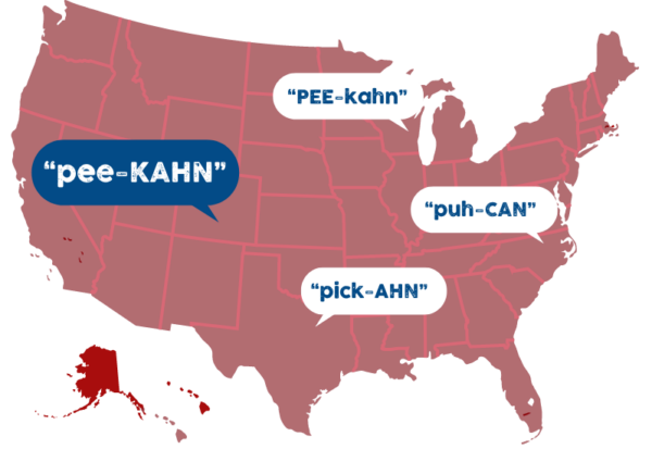 Pecan 101: Everything You Need to Know About Pecans